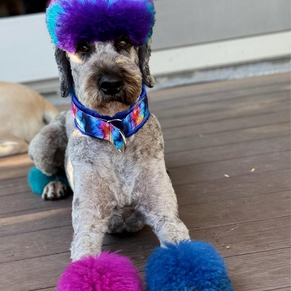 Dog Groomer Uniform, Dog Grooming Dress, Grooming Apparel for Women ...