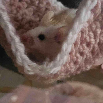 Rat Name Cage Decal for Rat Cage Custom Sign for Rat Cage Accessory for ...