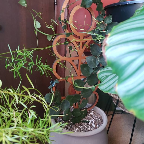 MCM Flower Indoor Plant Trellis (3 Sizes for 2-6" Pots) | Mini & Small ...
