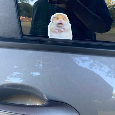 Surprised Shock Hamster Meme Funny Car Bumper Sticker Interior or ...