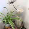 Handcrafted Single Stem Wire Chrysanthemum Flower-mother’s Day ...