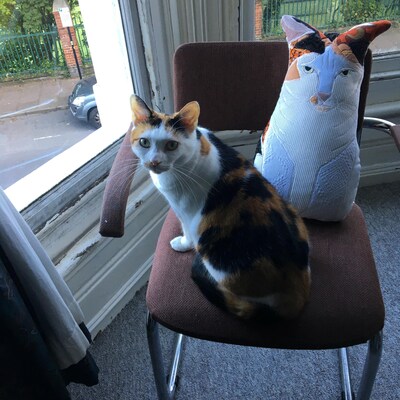 Quality Pet Custom Cat Commission .unique Gift Personalised Just Send ...