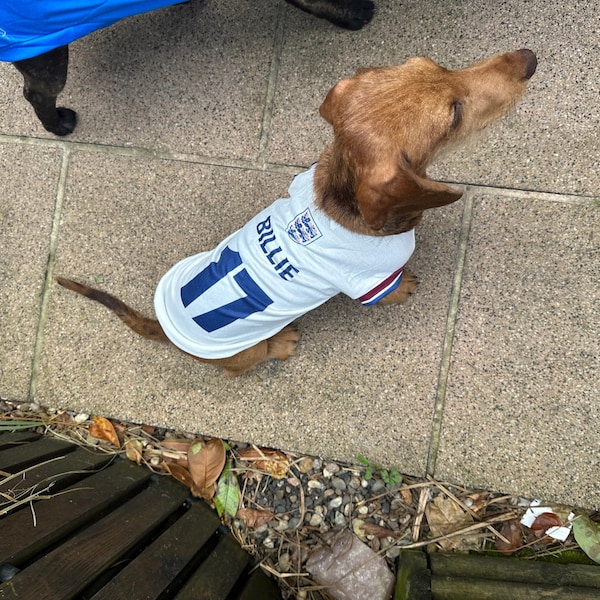 Liverpool FC inspired Personalised Pet Tank Top With Original FC Logo ...
