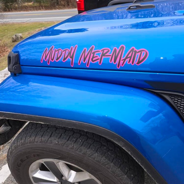 20" X 3.5" Pair of Custom Two Colors Hood Vinyl Decals High-quality ...