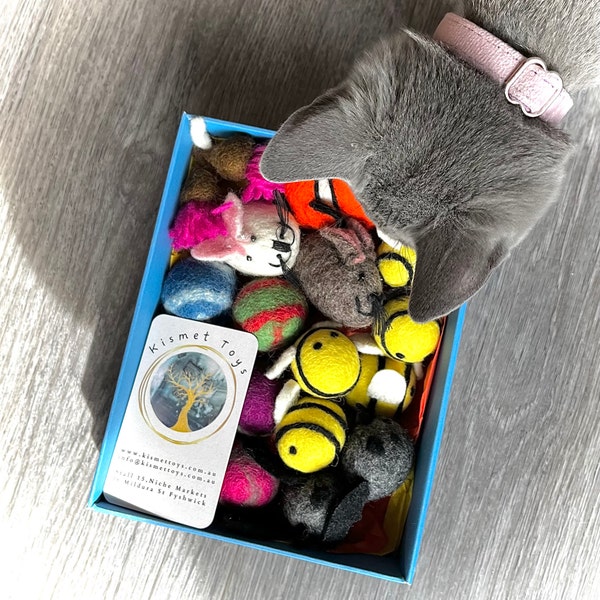 Felt Fairy Finger Puppets, Colourful Rainbow Gnomes and Fairy, Gifts ...