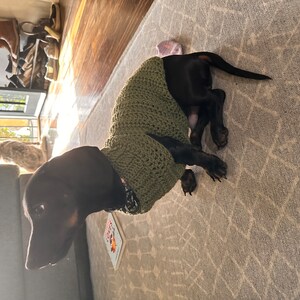 Ledger Sweater CROCHET Pattern Beginner Friendly Sweater for Dogs in 5 ...