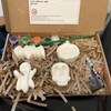 Paint Your Own Minibeasts Insects Craft Set 04/12 Last Order - Etsy UK