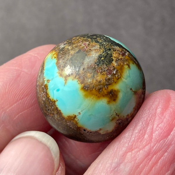 Dinosaur Gembone Sphere Natural Fossil Dinosaur Gem Bone Round Specimen ...