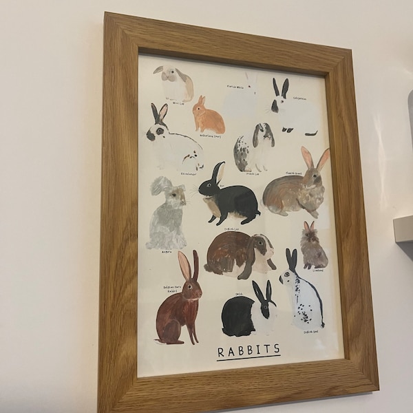 Bugs Print | Creepy Crawlies Bug | Spider Worm Beetle Nursery Kids Room ...