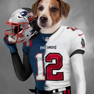 American Football Pet Portrait, NFL Dog Portrait, Poster, Custom Dog ...