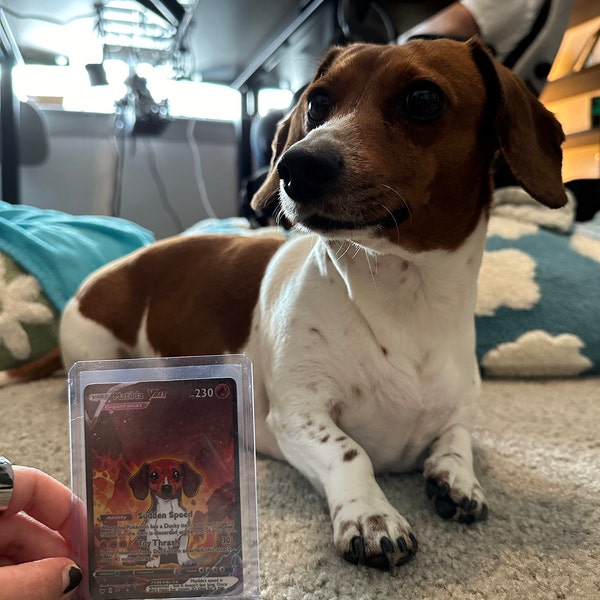 Custom Pokemon Card, Pet as Pokemon , Pokemon Card, Turn Your Pet Into ...