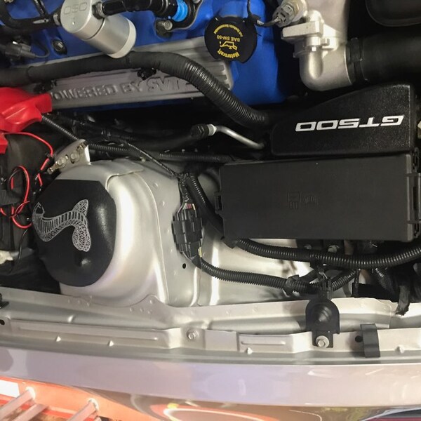 2020-2022 Ford Mustang GT500 Strut Tower Covers Custom Fitted predator ...