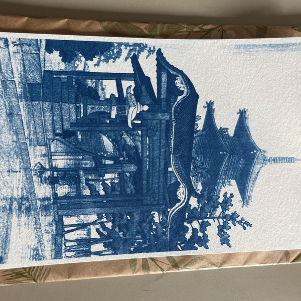 Cyanotype Stencils, Cyanotype Kit Just Stencils, Pressed Flowers ...