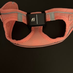 Fi Series 2 Collar Adapter - Etsy