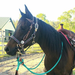 Moon Conchos Purple Swirl Pattern Tack Custom Tack Bridle | Etsy