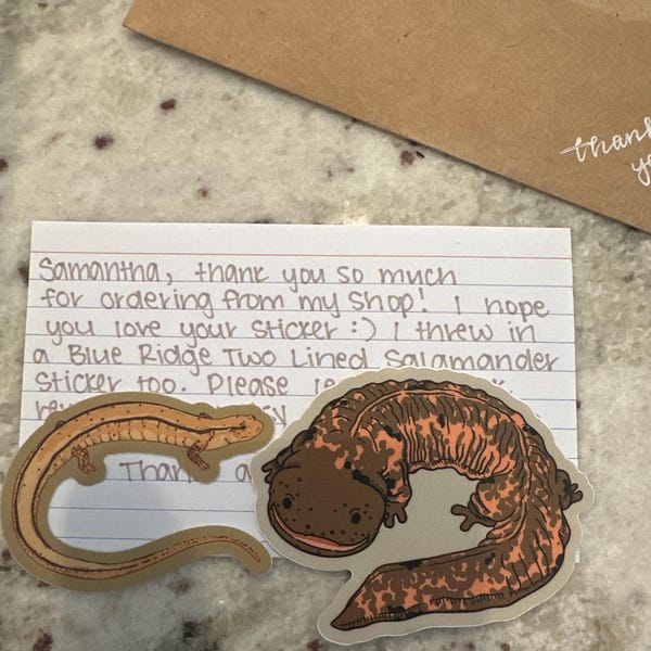 Eastern Hellbender Salamander Vinyl Dye-cut Sticker for Water Bottle ...