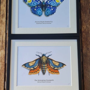 Edvard Munch's the Scream Hawkmoth Painting Print 6x8 Framed ...