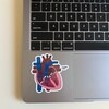 Labeled Heart Diagram | Sticker | Hand-drawn | Anatomy Sticker ...