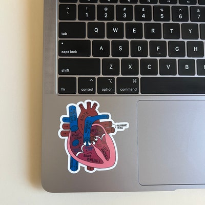 Labeled Heart Diagram Sticker Hand-drawn Anatomy Sticker Medical ...