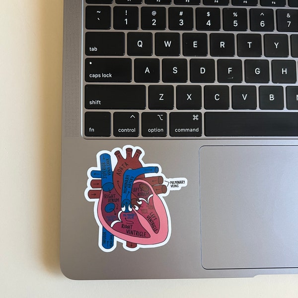 Labeled Heart Diagram | Sticker | Hand-drawn | Anatomy Sticker ...
