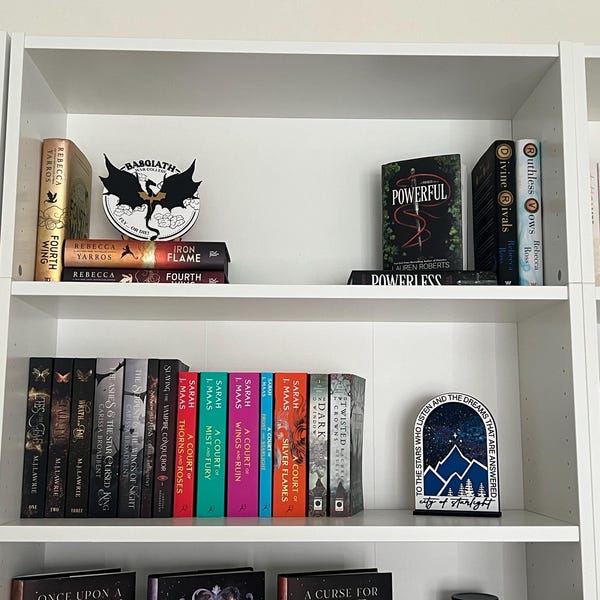 Bat Boys Sign, ACOTAR, Spicy Booktok Sign, Booktok Sign, Smut Reader ...