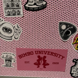 Bimbo University Bumper Sticker - Etsy