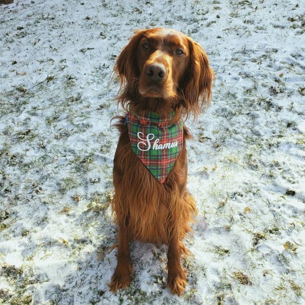 Money, Dollar Sign, Cash, Dollar Bill Dog Bandana, Handmade, Slide On ...