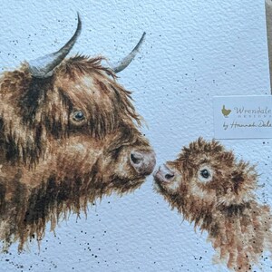 Border Collie Blank Card, jess, by Wrendale, Any Occasion, Buy 6 or ...