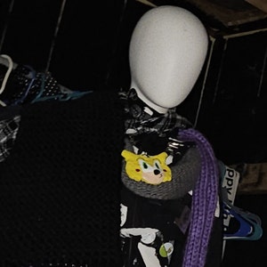 Chris Chan 2021 Lost Commissions: READ DESCRIPTION Jazzy's Fursona - Etsy