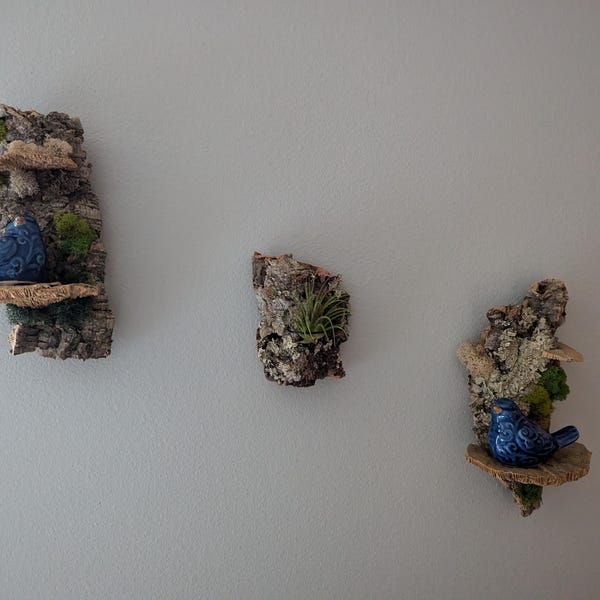 Floating Forest Trio Moss Wall Art, Wall Decor, 3 Cork Bark W ...