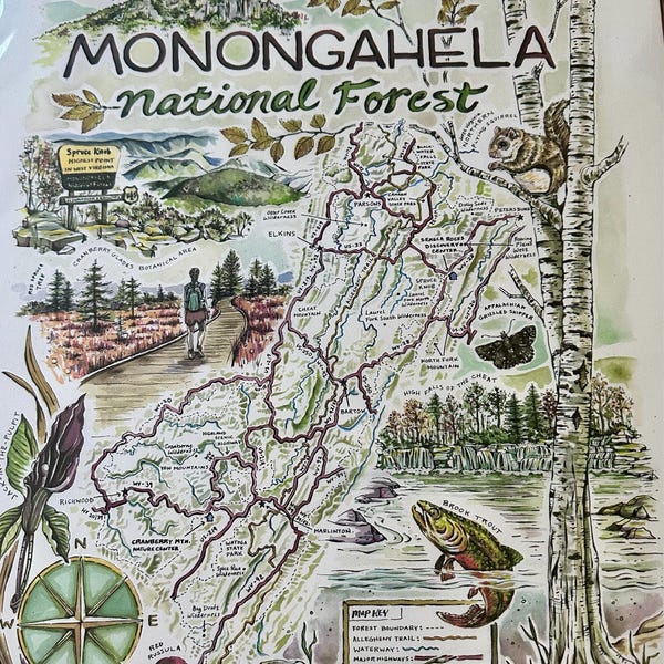 Monongahela National Forest Watercolor Illustrated Map - West Virginia ...