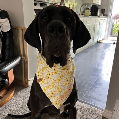 Personalized Fall Puppy Kerchief Custom Autumn Dog Scarf - Etsy