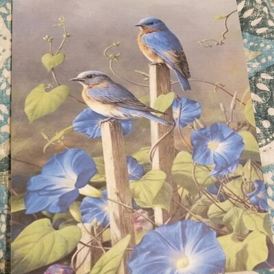 Bluebird Sign - Etsy