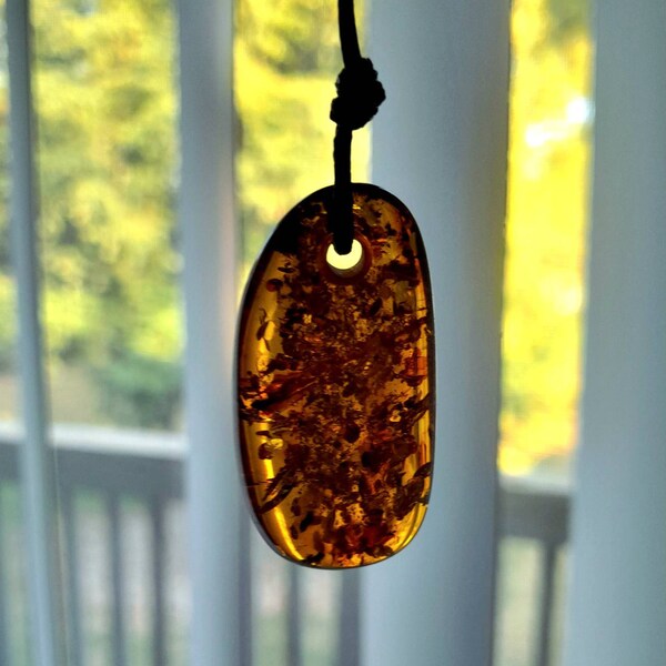 Large Amber Stone Collectors Specimen, Amber for Display, Large Palm ...