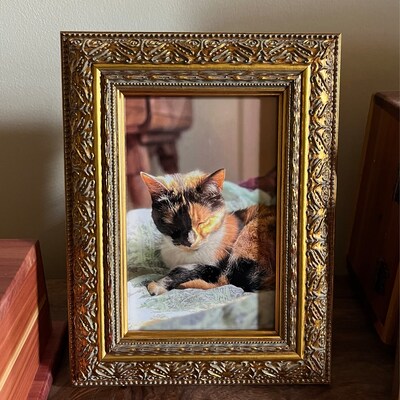 Venice Picture Frame, Champagne Picture Frame, Gold Photo Frame, Dark ...