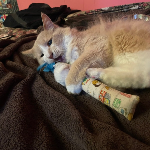 Catnip Bubble Tea Toy Boba Drink Cat Toy organic Catnip Toy Gift for ...