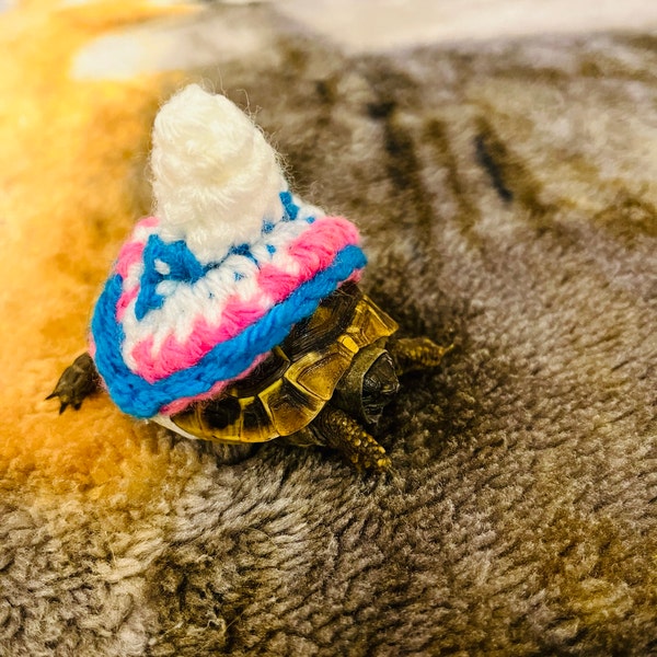Mariachi Sombrero Turtle/tortoise Costume - Etsy