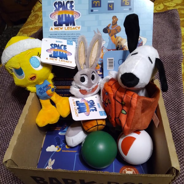 Instagram Account Optimisation Small Business Flashcard, How to ...