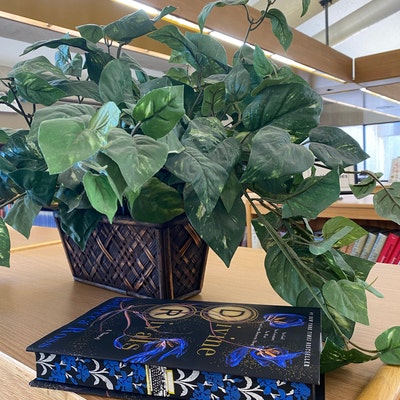 Powerless Sprayed and Stenciled Edges - Etsy