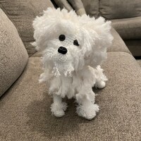 Crochet Pattern German Shepherd Dog Alsatian Amigurumi pattern Stuffed ...