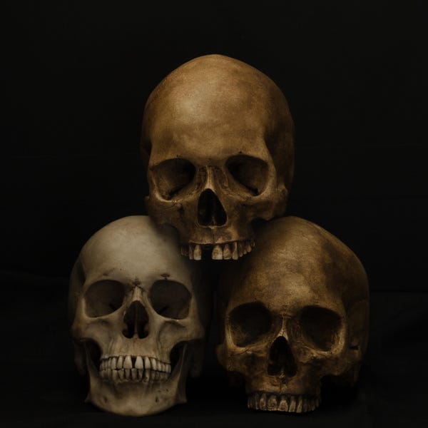 Human Skull Replica . Realistic Plaster of Paris Life Size Human Skull ...
