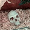 High Detail Human Skull Container Goth Storage Solution Skull Box Full ...