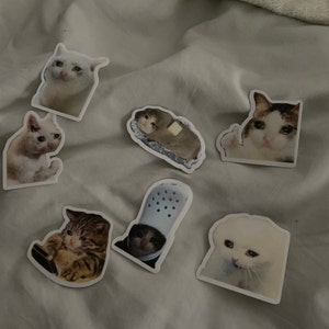 Crying Cat Sticker Pack Pack of 7 Meme Crying Cat Stickers - Etsy