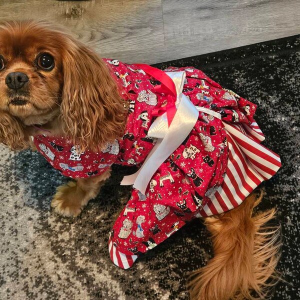 Princess Peach Dog Costume, Mario Kart Costume, Halloween Dog Costume ...