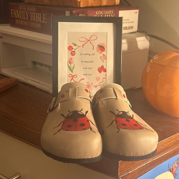 LADYBUG Themed Professional Womens Clogs, Comfortable Nurse & Doctor ...