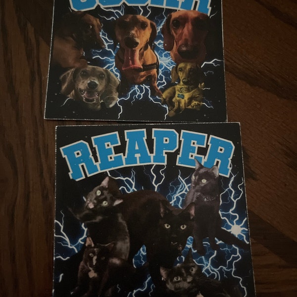 Shark Tale Vinyl Sticker Shrimp My Sister Had a Baby Quote Tiktok Trend ...