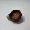 Jumping Spider Magnetic Acorn Ledge/hide - Etsy Canada