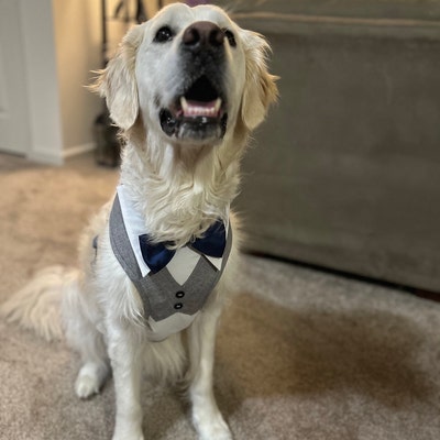 Large Formal Dog Tuxedo , Dog Wedding Harness, Dog Ring Bearer Harness ...