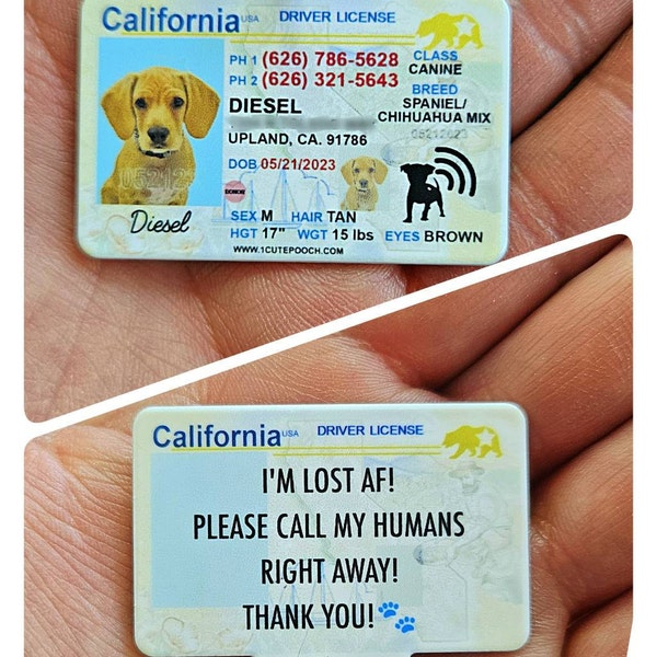 California Driver Dog Id Tag Personalized License, Durable Dog Tag ...