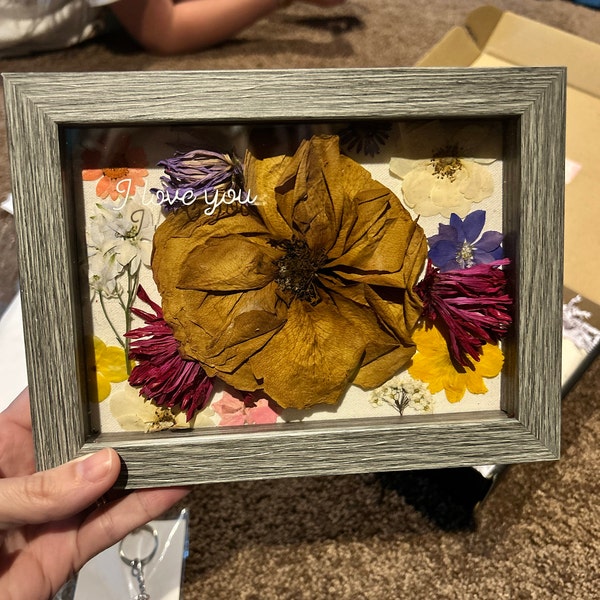 Ombré Butterfly Shadow Box With Lights (customized) - Etsy
